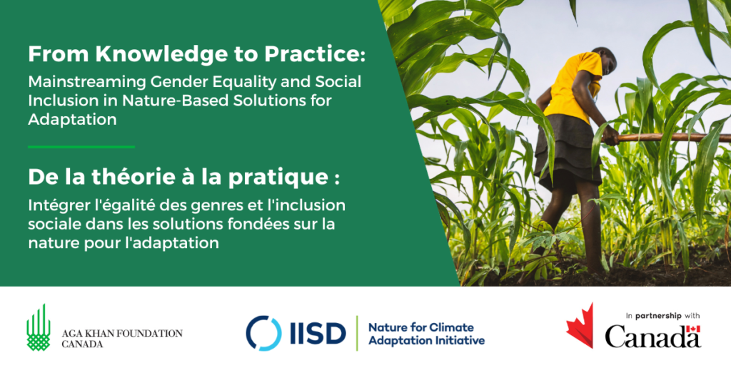 From Knowledge to Practice: Mainstreaming Gender Equality and Social ...